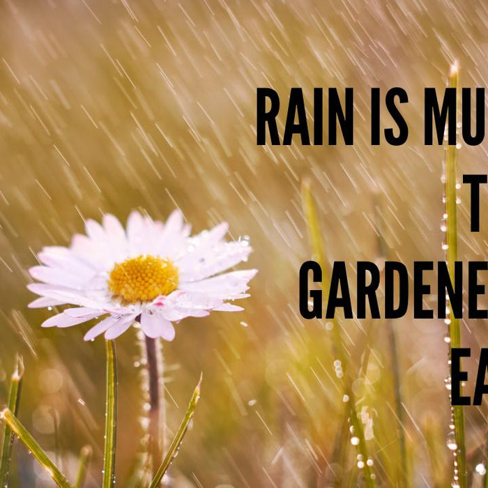 What's New — Blooming Junction