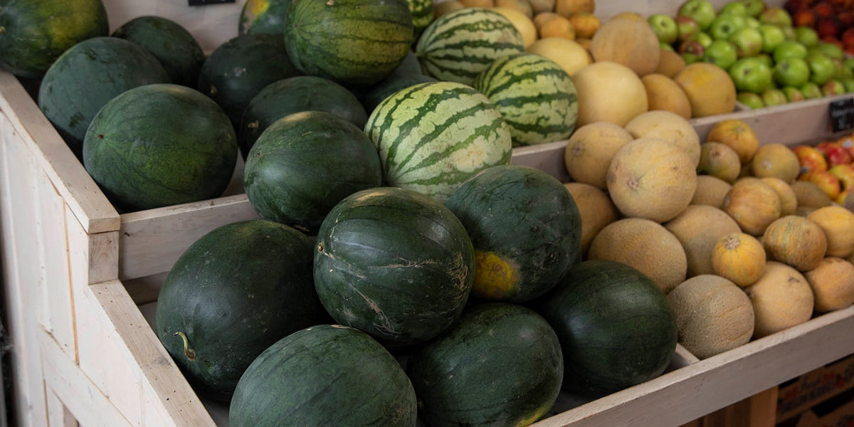 Melon Guide — Blooming Junction