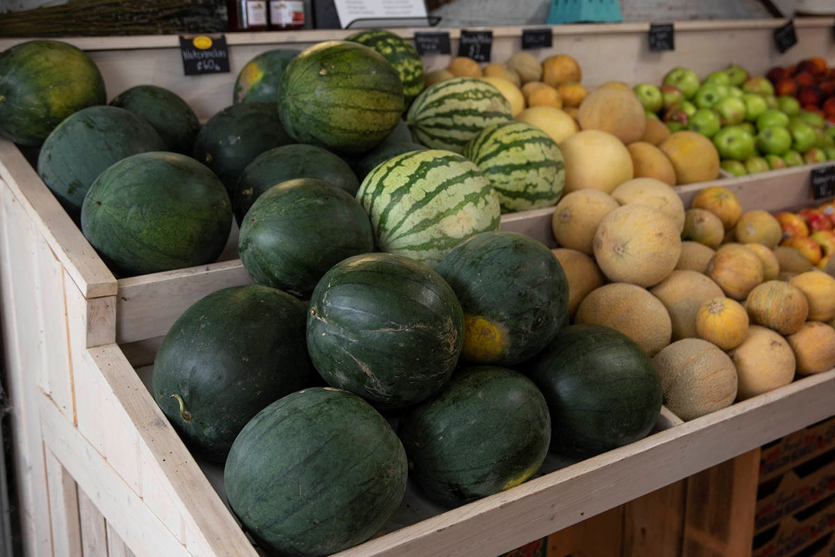 Melon Guide — Blooming Junction