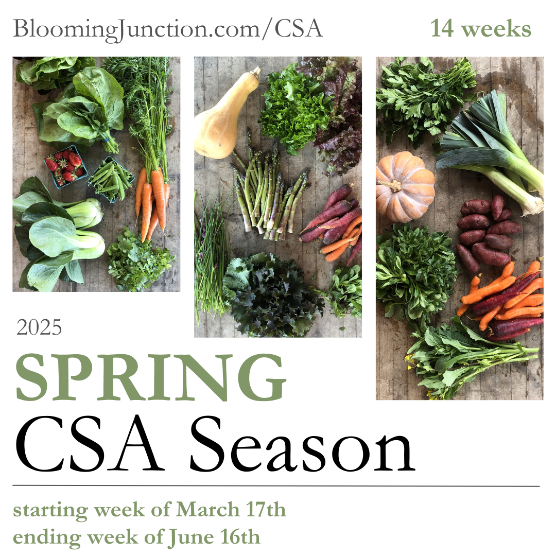 Plants on Hand — Blooming Junction