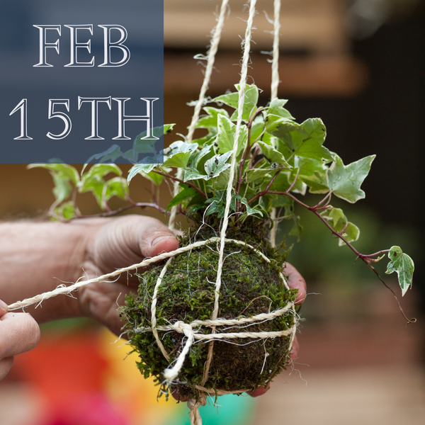 CSA Info — Blooming Junction