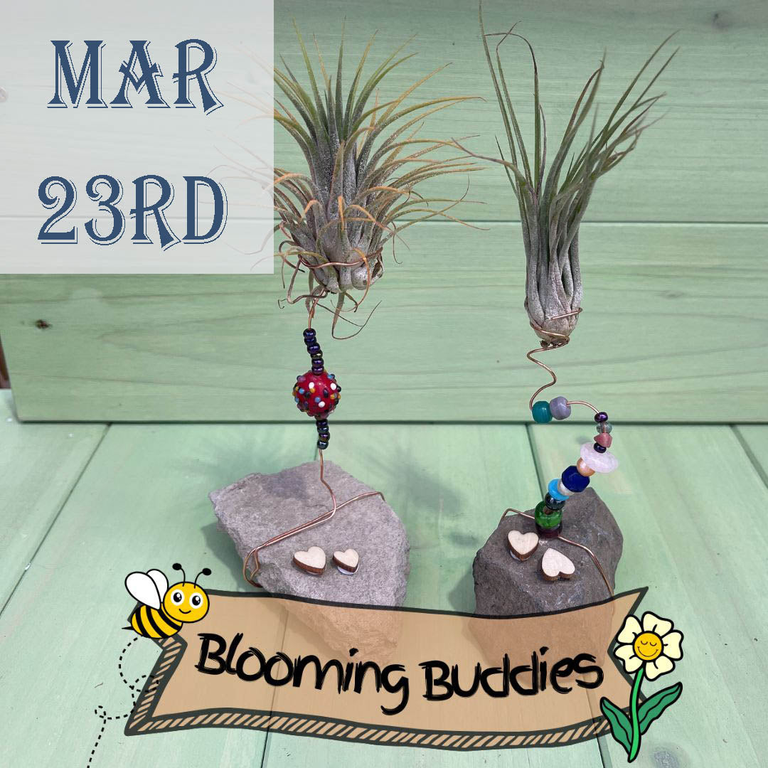 Plants on Hand — Blooming Junction