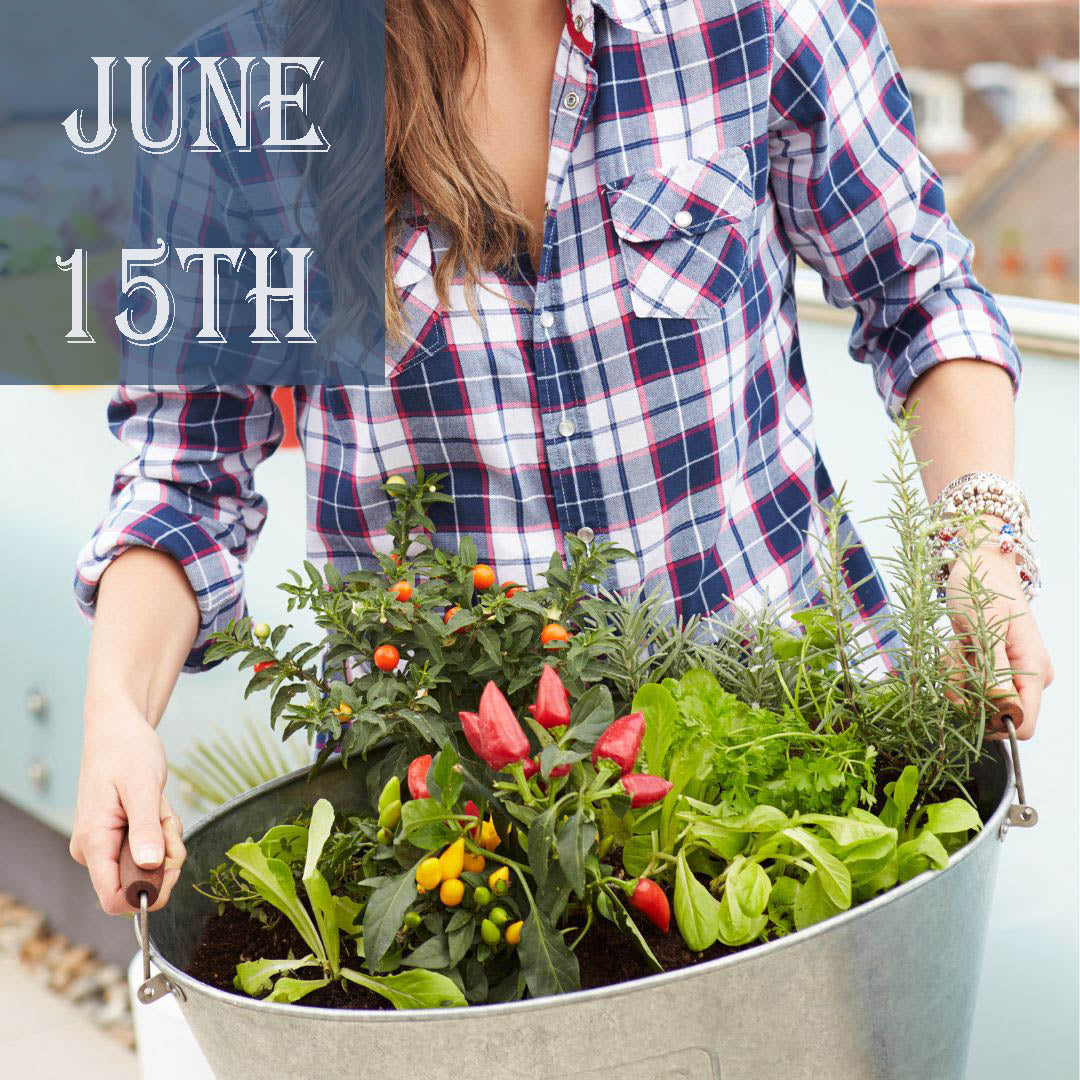 Plants on Hand — Blooming Junction