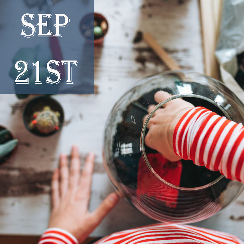 Plants on Hand — Blooming Junction