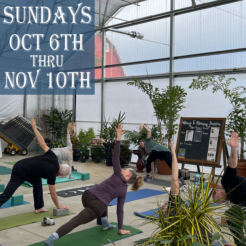 Plants on Hand — Blooming Junction