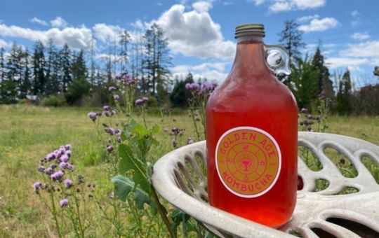 CSA Info — Blooming Junction